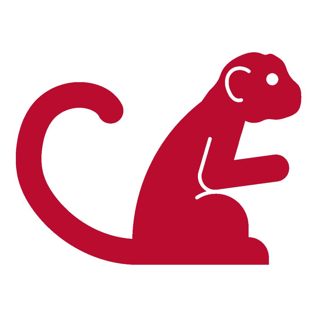 Non-human Primates | Research | WashU